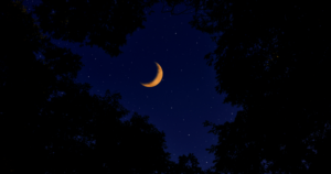 Ciclo da Lua - Submundo Periférico