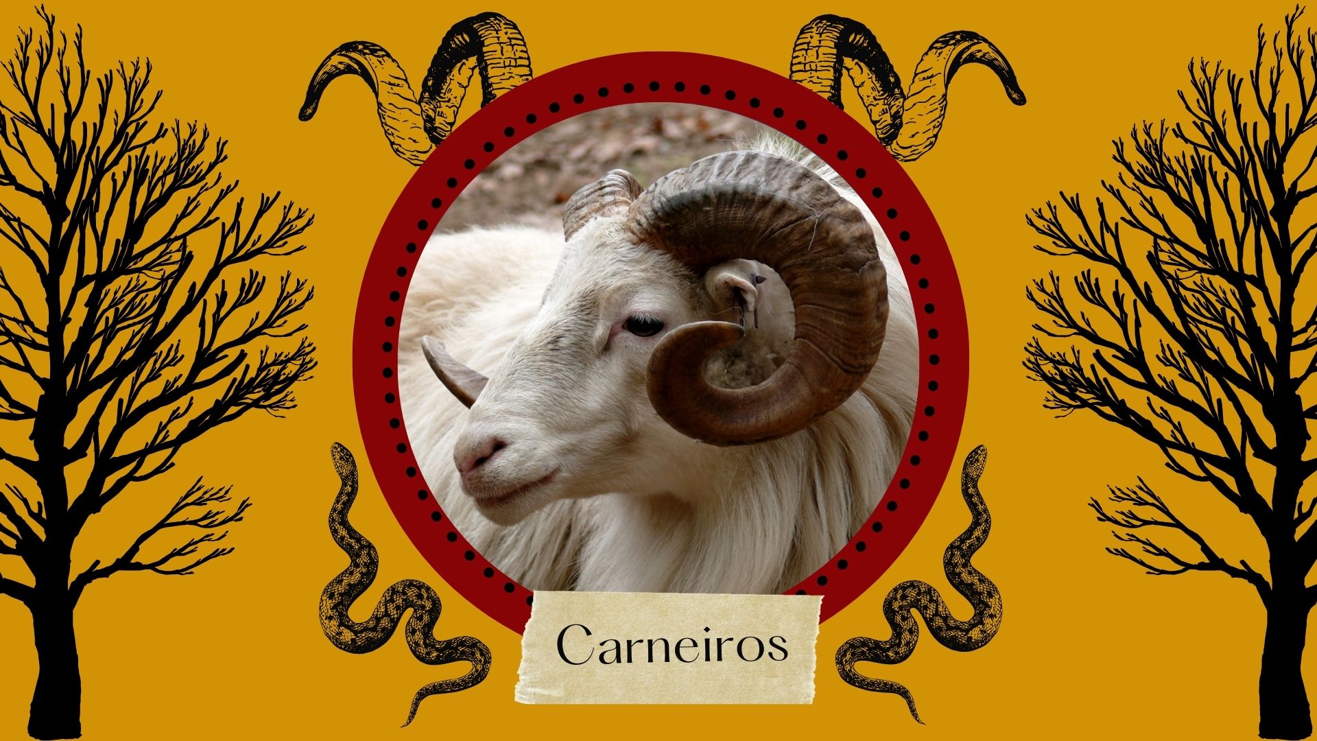 Carneiros - Submundo Periférico