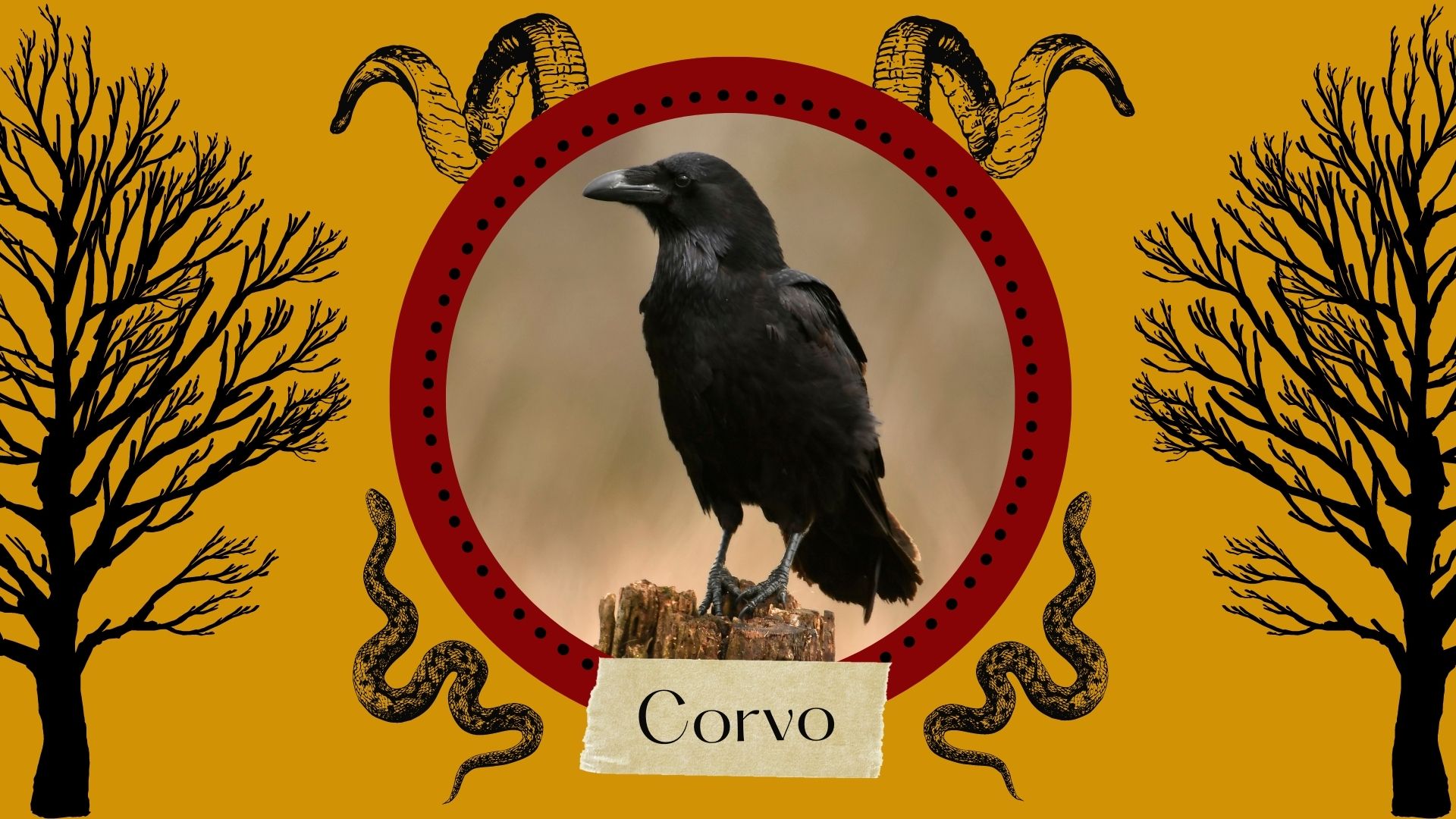 Corvo - Submundo Periférico