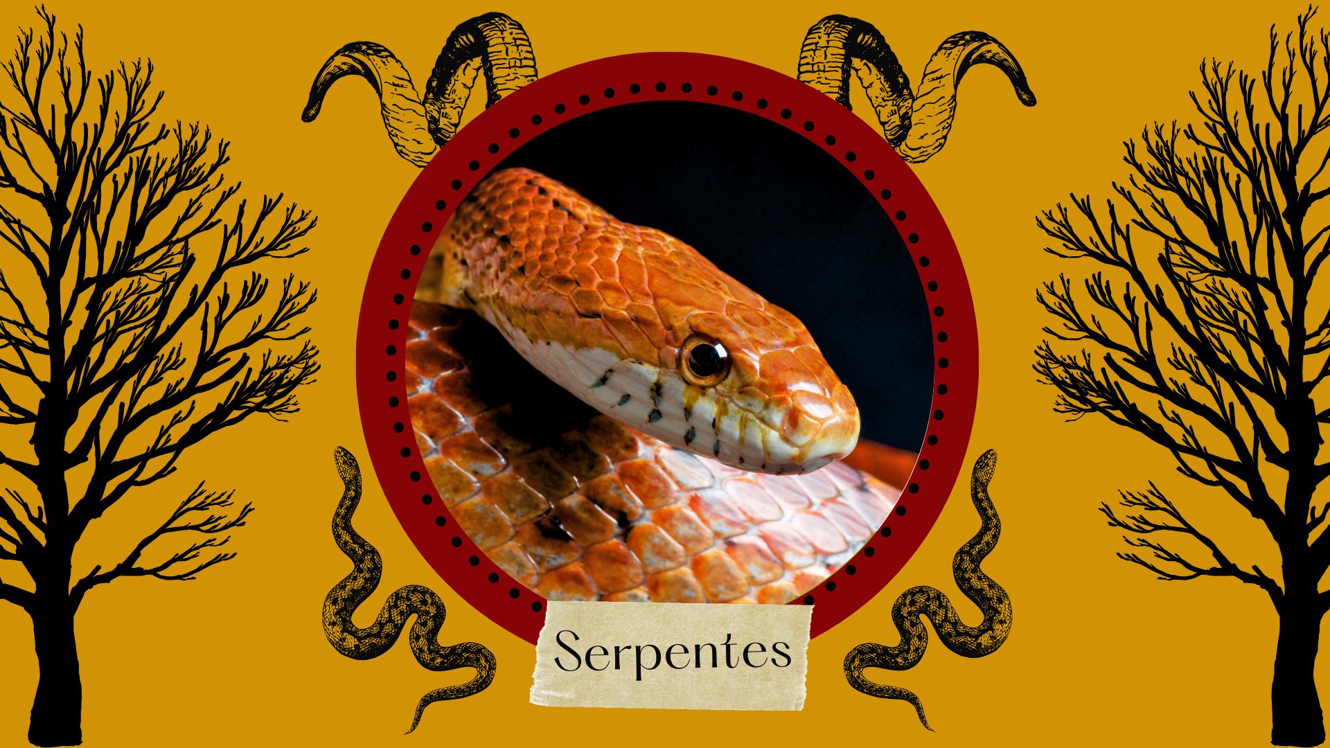 Serpentes - Submundo Periférico