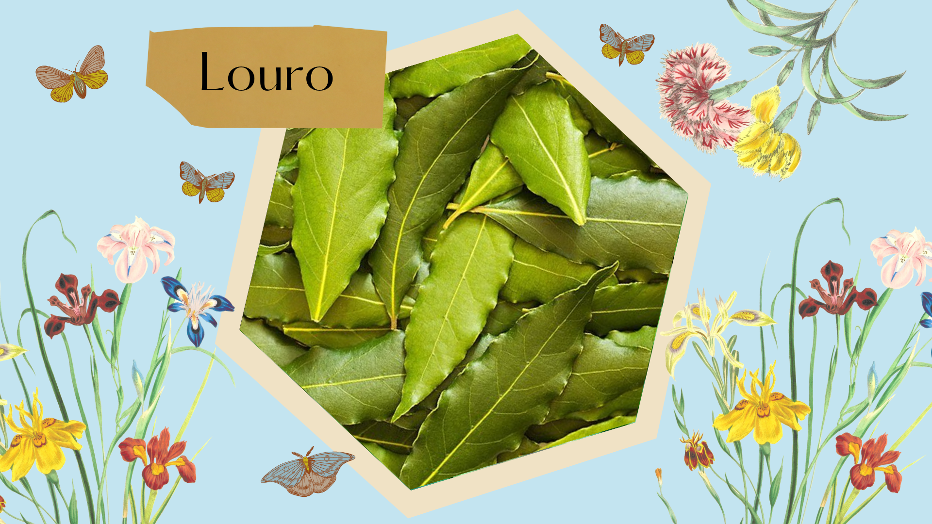 Louro - Submundo Periférico