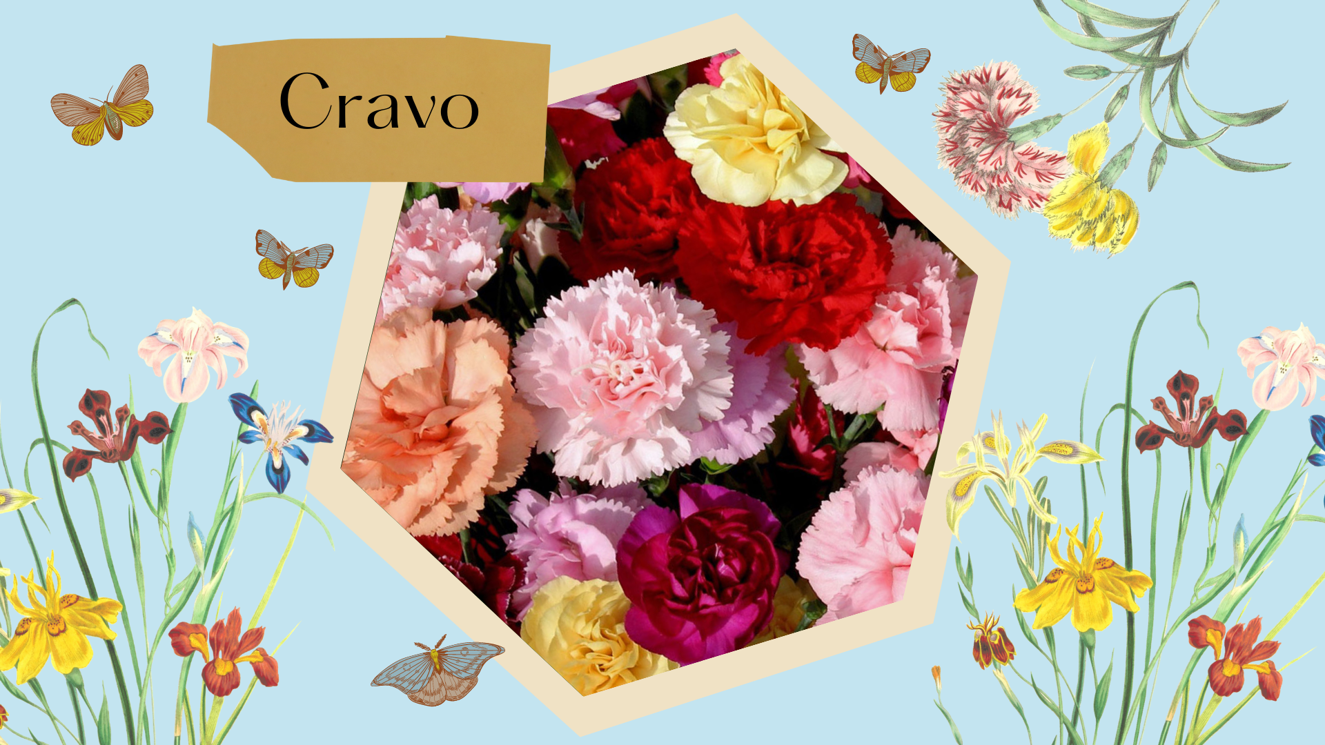 Cravo - Submundo Periférico